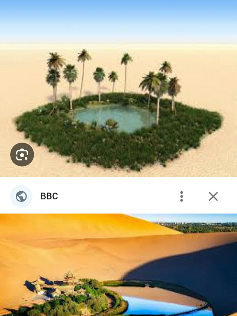Oasis | PDF