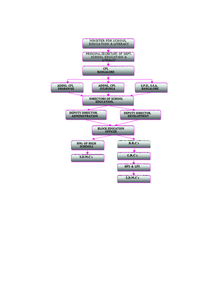 School Education Administration Chart | PDF