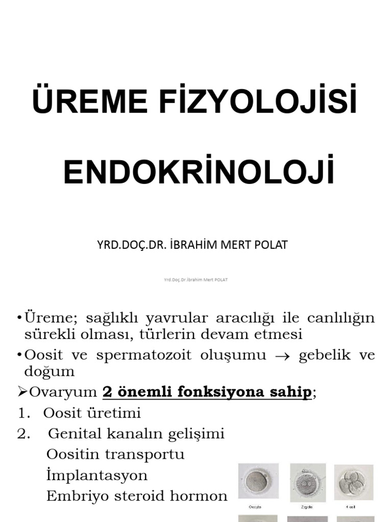 Ders 2 Reprodüktif Hormonlar Ve Endokrinoloji - PDF Adlı Dosyanın Kopyası | PDF