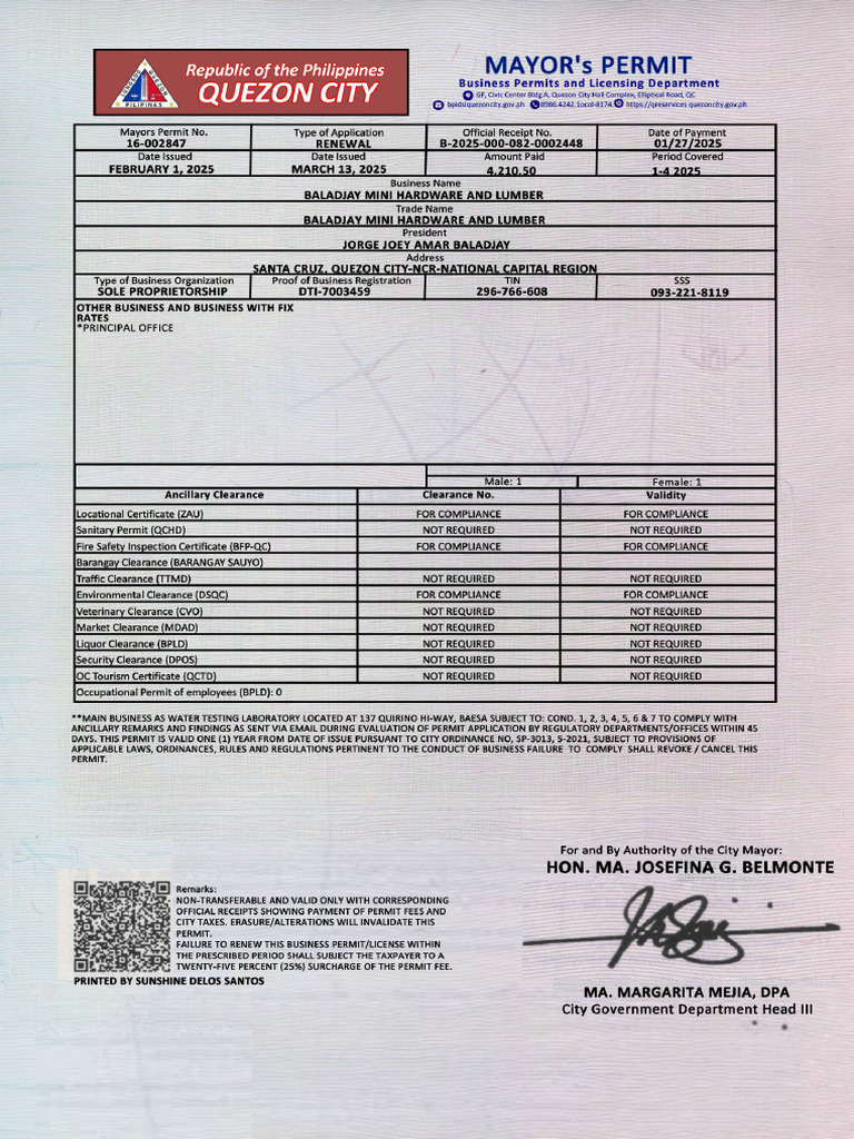 Mayor's Permit | PDF