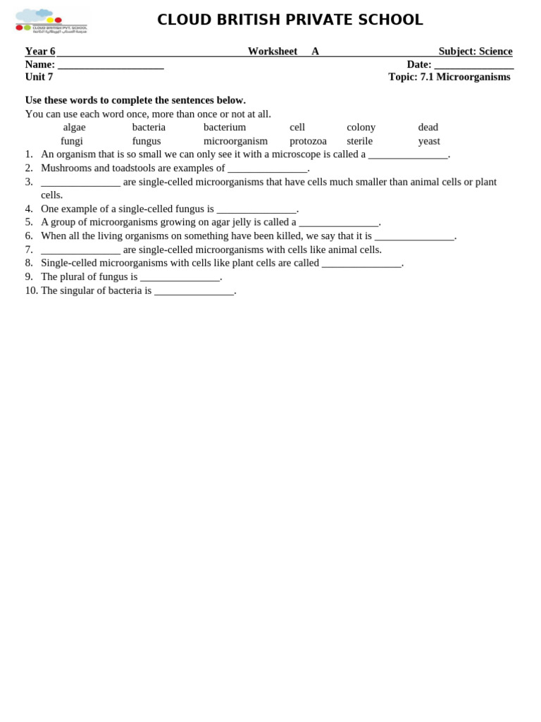 Year 6 Microorganisms Worksheet | PDF | Protozoa | Fungus
