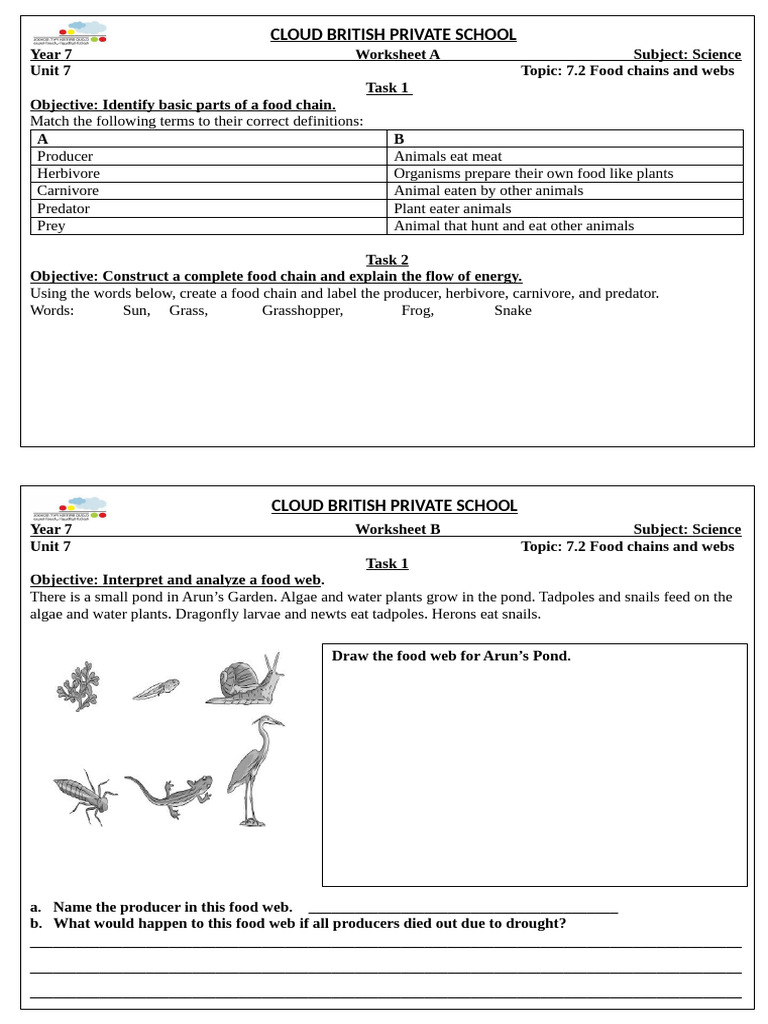 Grade 7 Food Chains and Webs Worksheet | PDF