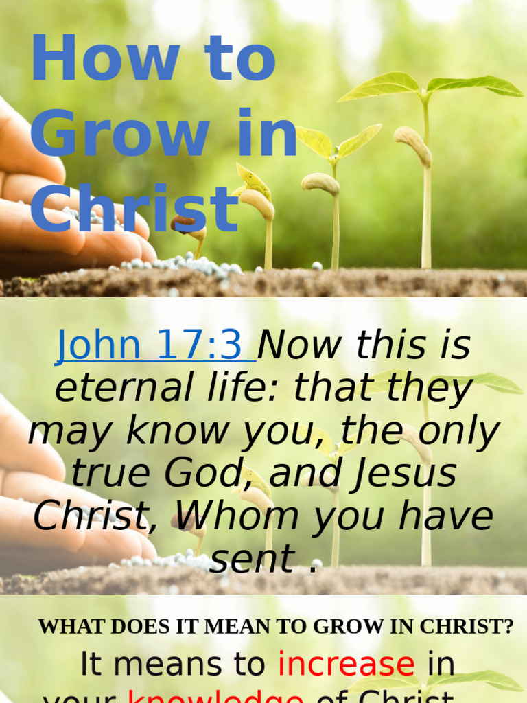How To Grow in Christ | PDF | Jesus | Gospel Of John
