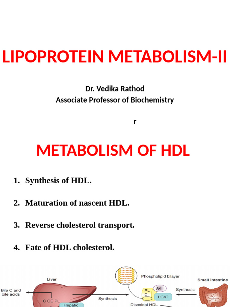 Lipoprotein Metabolism II | PDF | Lipoprotein | Diseases And Disorders