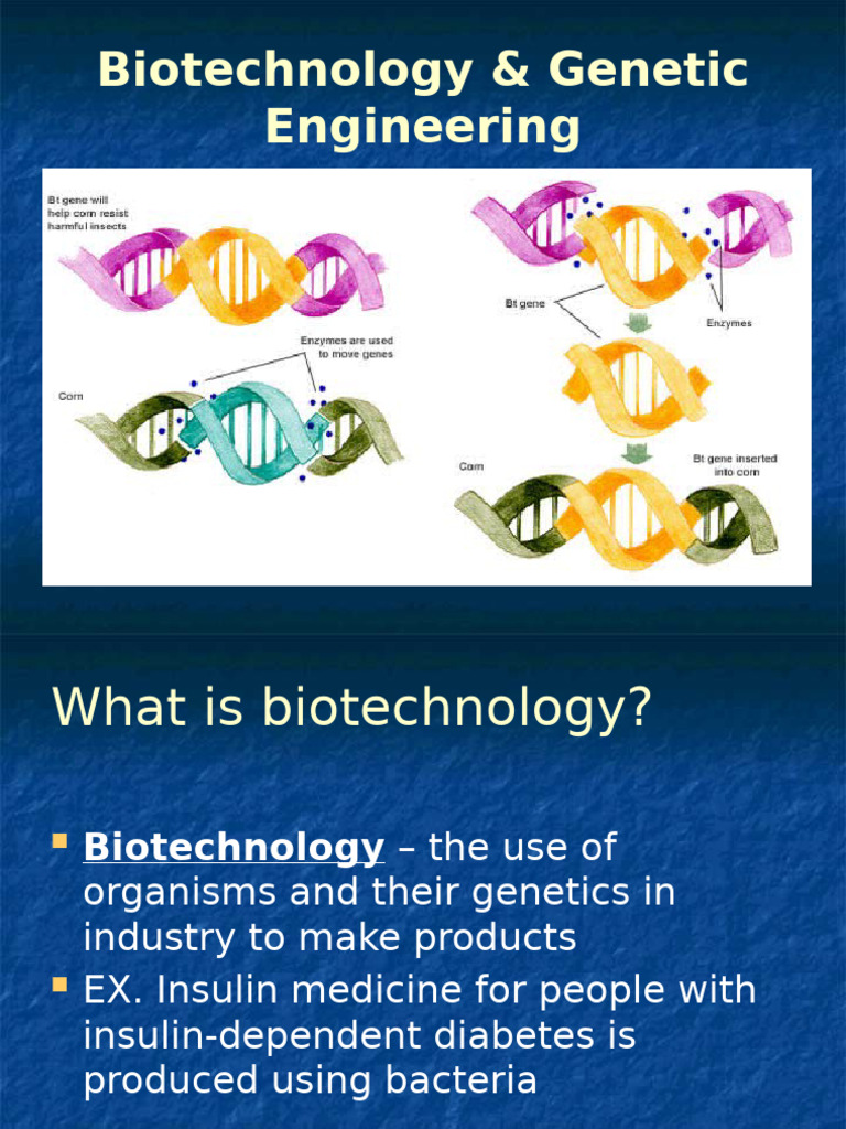 Biotechnology Report | PDF | Genetic Engineering | Genetically Modified ...
