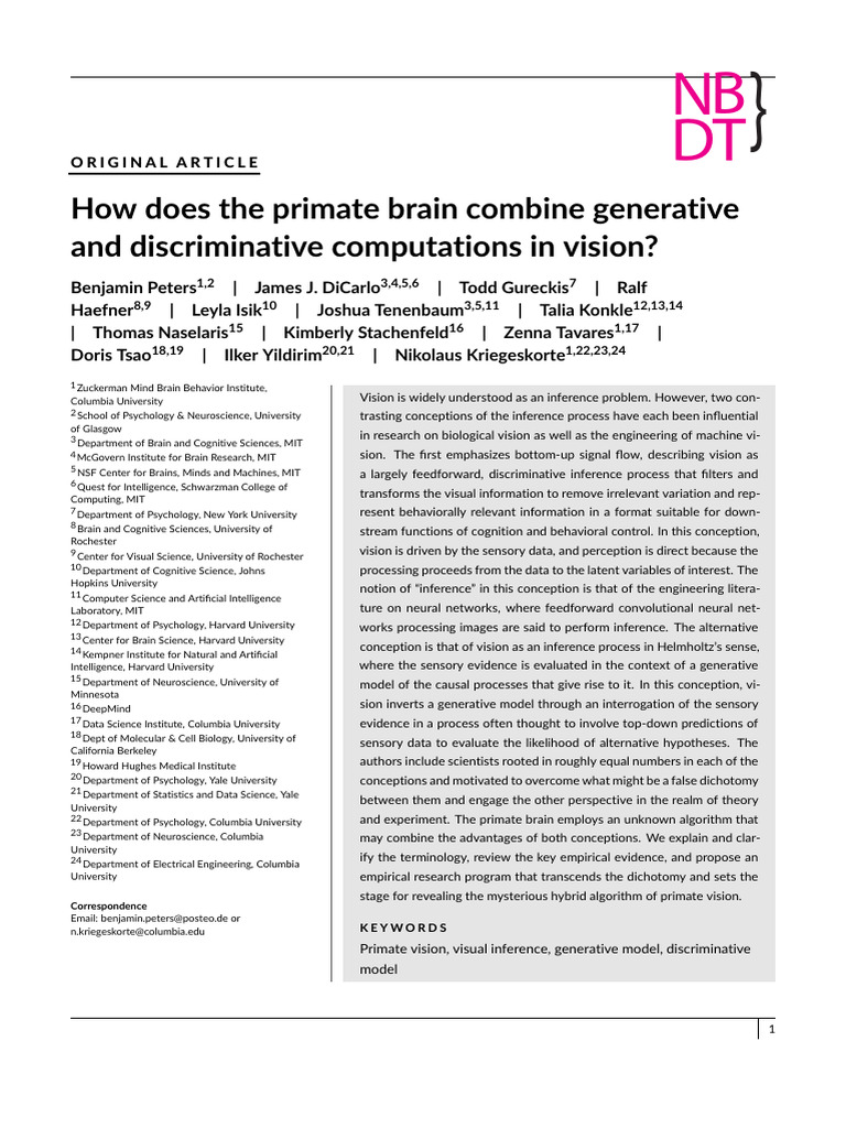 How Does The Primate Brain Combine Generative and Discriminative Computations in Vision? | PDF ...