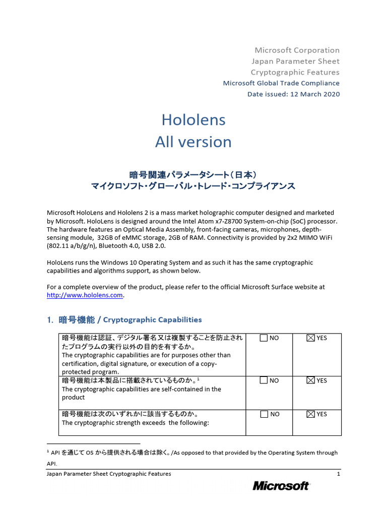 Hololens Parameter Sheet | PDF