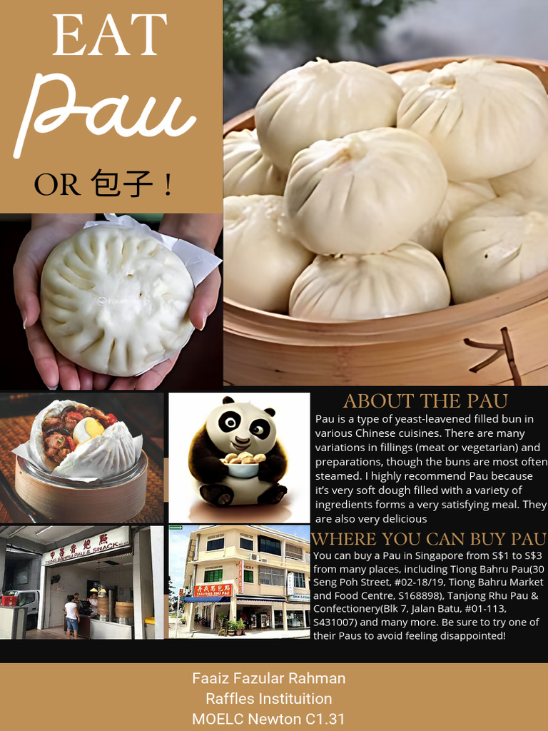 Faaiz C1.31 Poster Pau | PDF