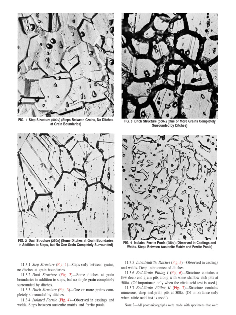 Step Structure - Dual Structure Interdendritic Ditches - End-Grain ...
