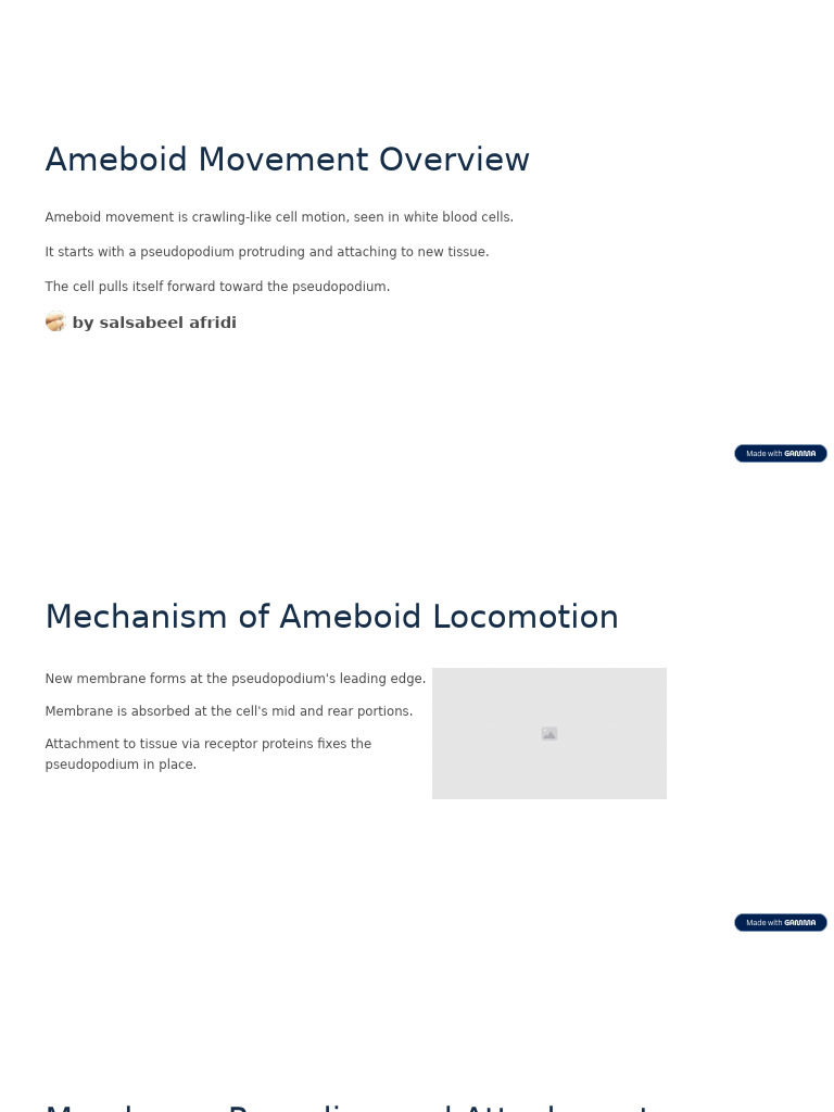 Ameboid Movement Overview | PDF