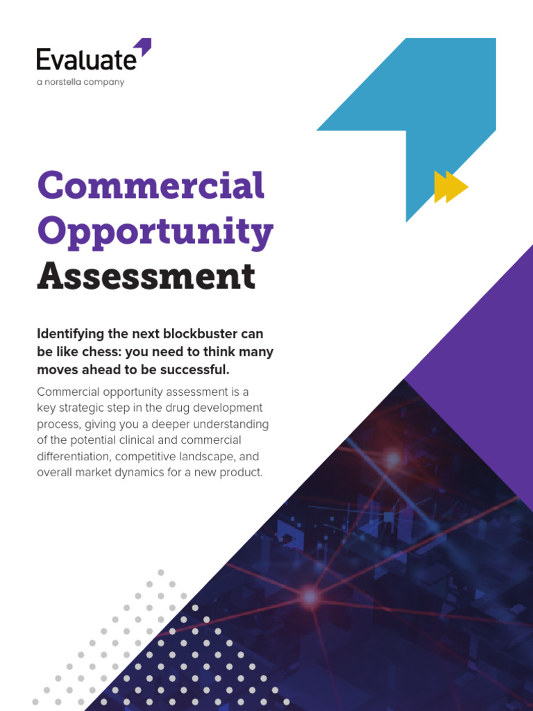 Commercial Opportunity Assessment Flyer | PDF | Business | Economies