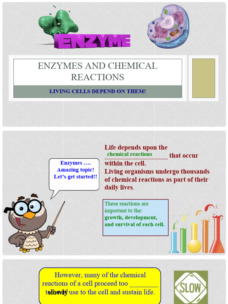 Enzymes and Chemical Reactions | PDF | Enzyme | Active Site