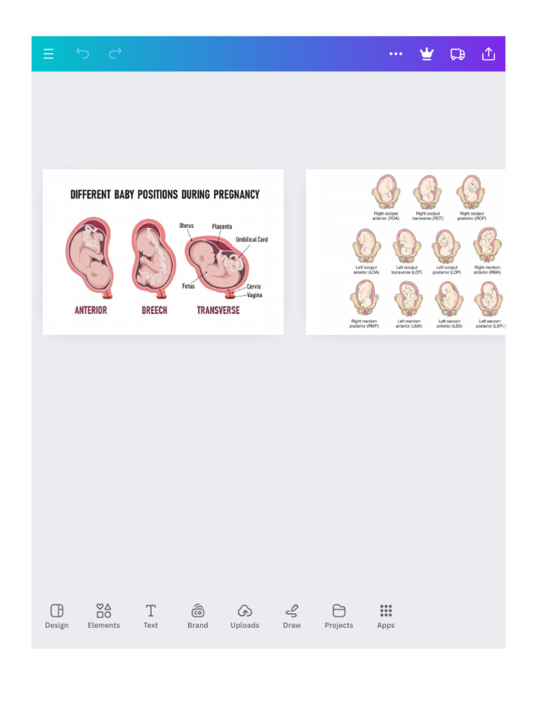 My Body Was Made To Birth! - Label | PDF