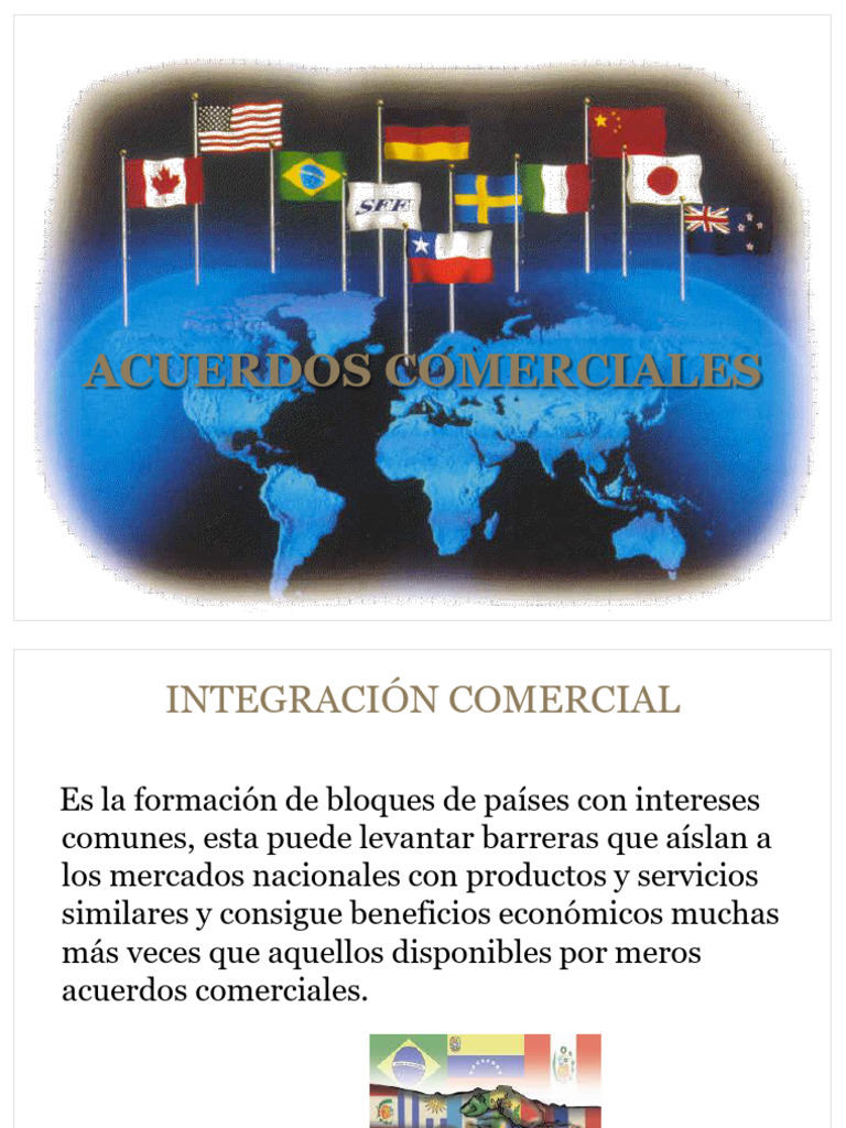 Acuerdos y Tipos de Integración Comercial | PDF | Integración económica ...