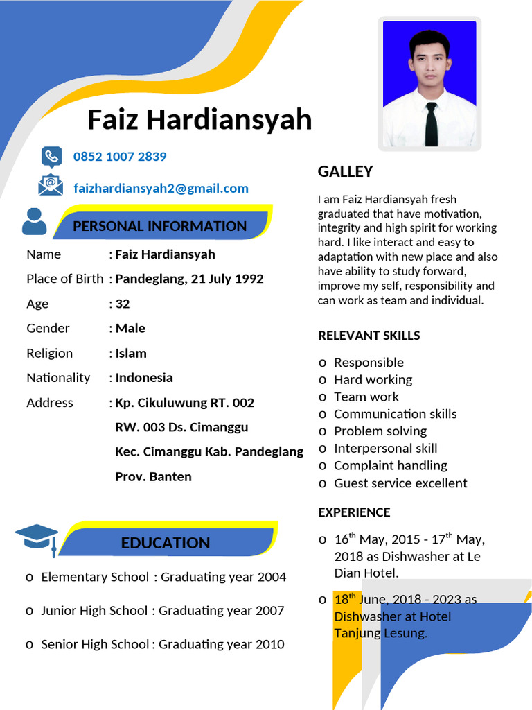 CV Faiz | PDF