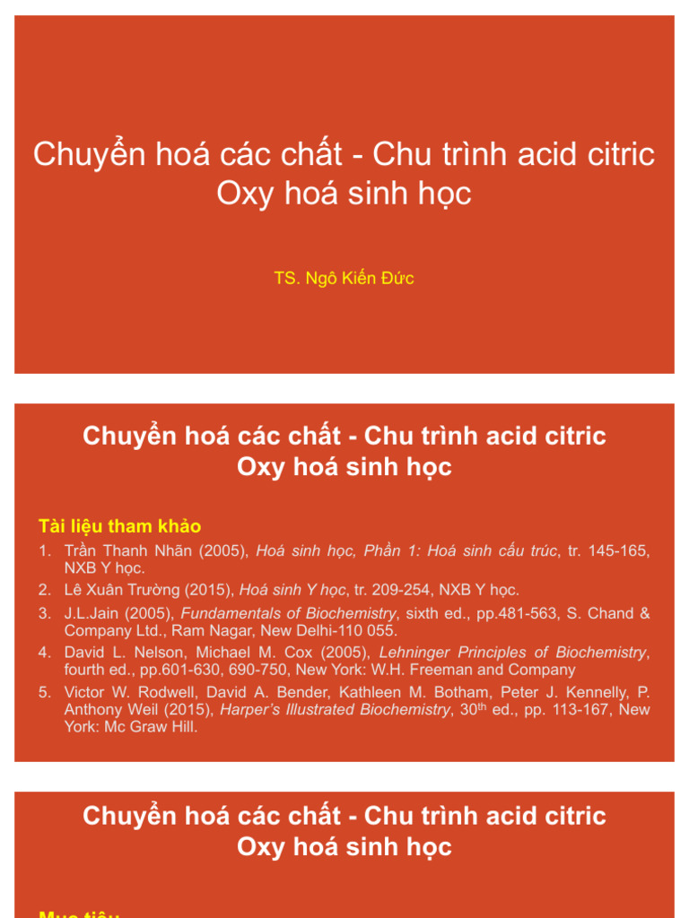 HS1 Chu Trình Krebs | PDF