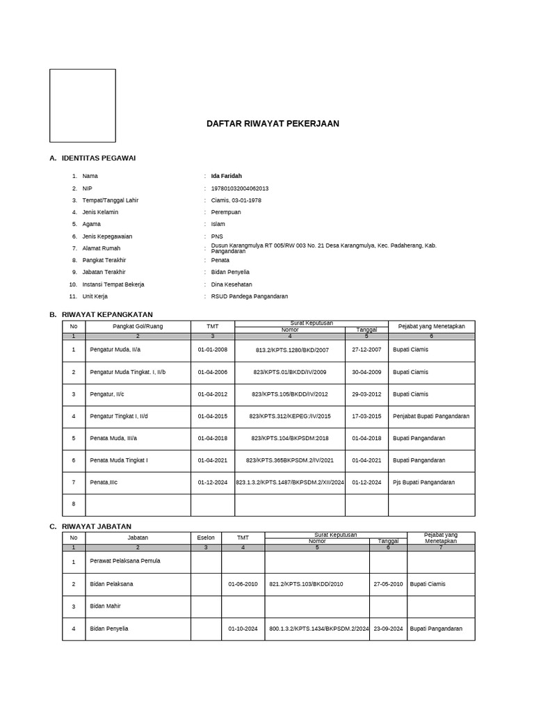 Daftar Riwayat Pekerjaan | PDF
