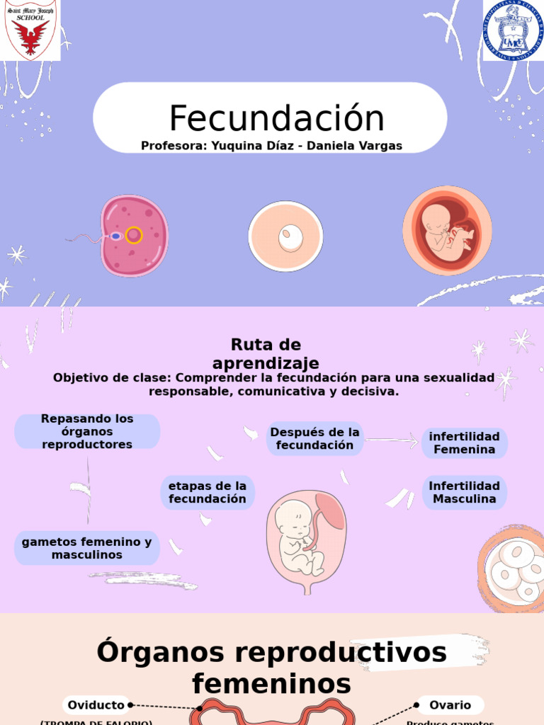 Fecundación Séptimo | PDF | Ciclo menstrual | Ovario