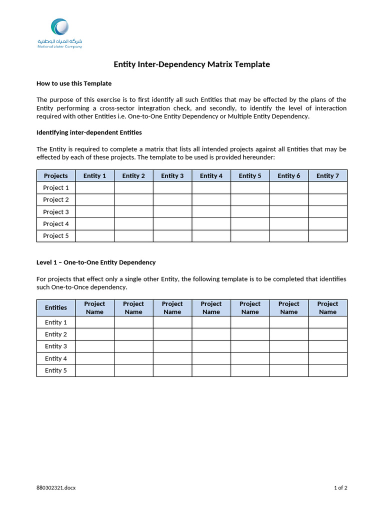 PMF 004 FYP 012 - 02 Inter Dependency Matrix Template | PDF