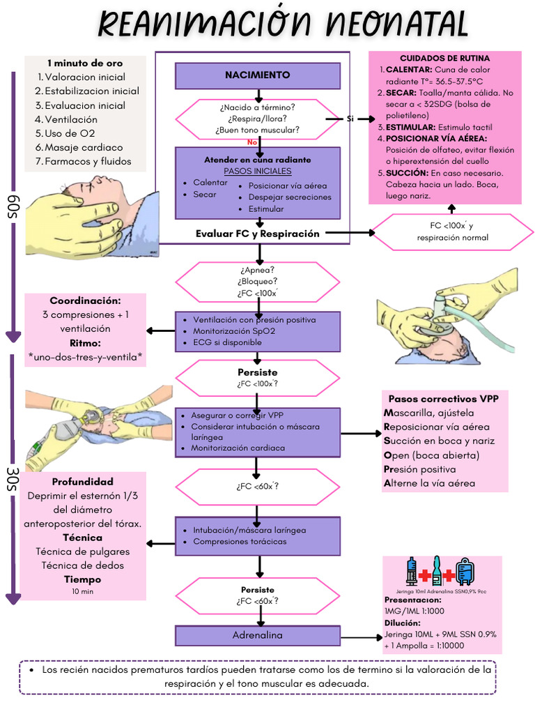 RCP Neonatal | PDF