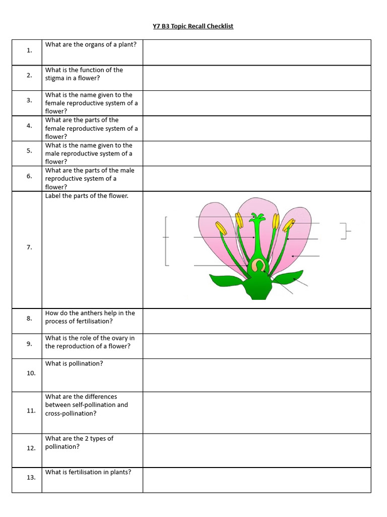 Y7 B3 Topic Recall Checklist | PDF
