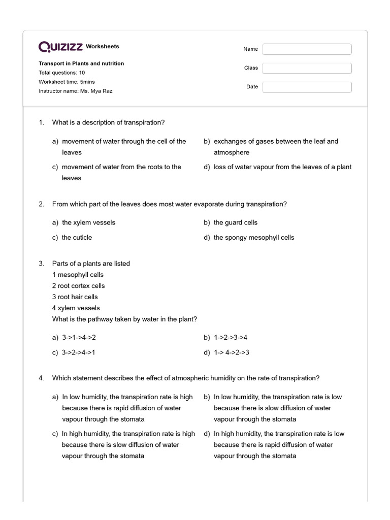 Plant Transport and Nutrition Worksheets | PDF | Leaf | Physiology