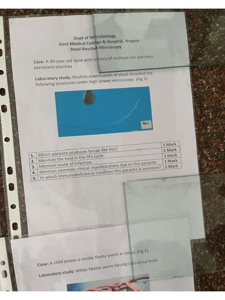 Stool Examination | PDF