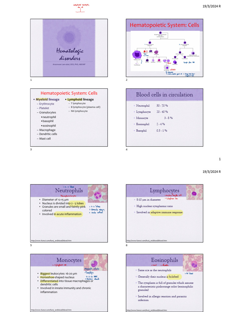 Overview of Hematologic Disorders | PDF | White Blood Cell | Haemophilia