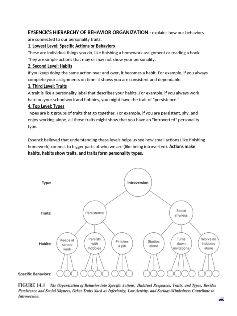 Heirarchy of Behavior Organization | PDF
