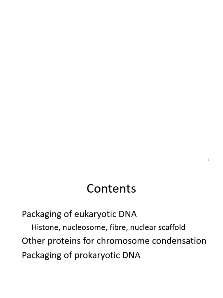 Organization and Packaging of Genome | PDF | Histone | Chromatin