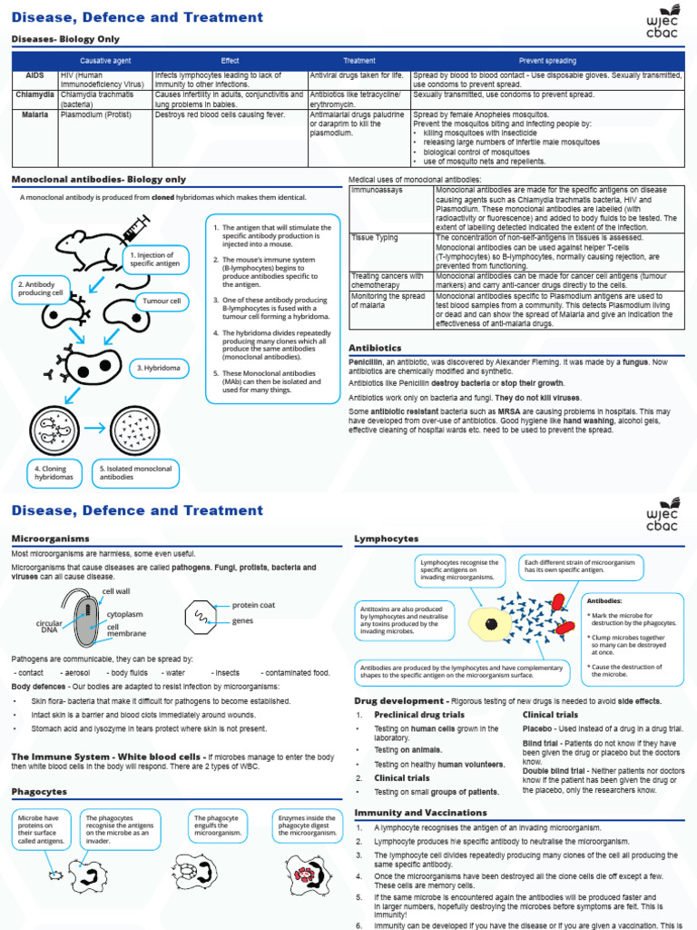 Disease Defence and Treatment | PDF | Antibody | Immune System