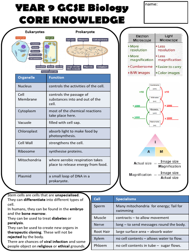 Year 9 Cells KNowledge Organiser | PDF | Cell (Biology) | Diffusion