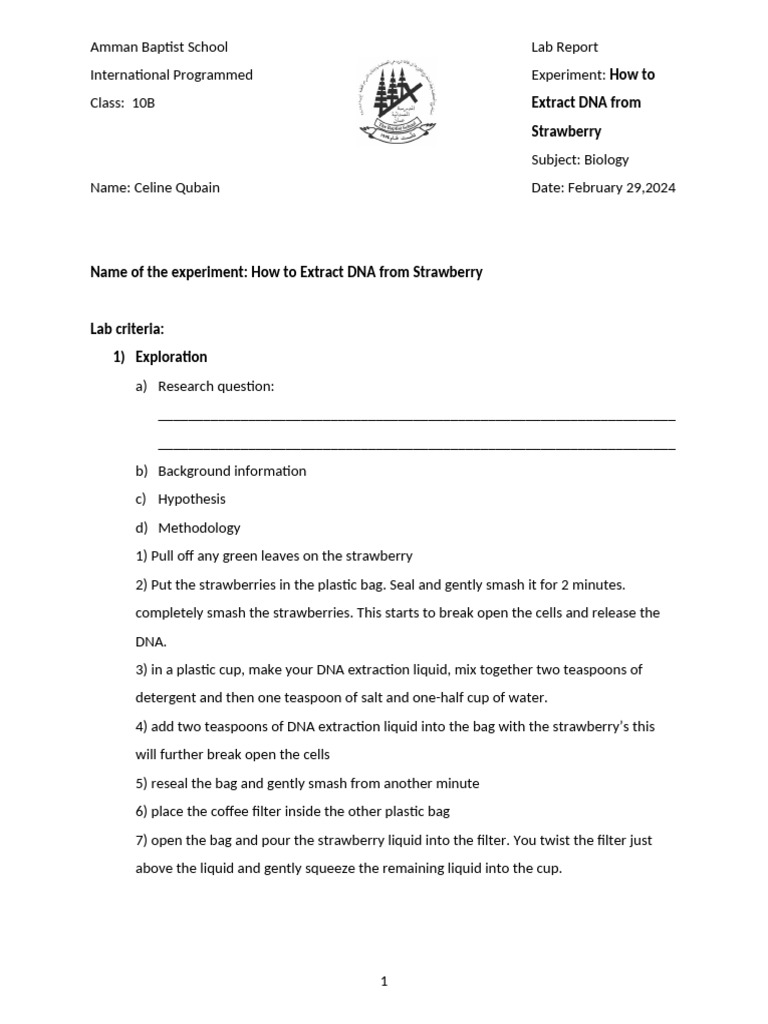 Lab Report - Template | PDF | Teaspoon