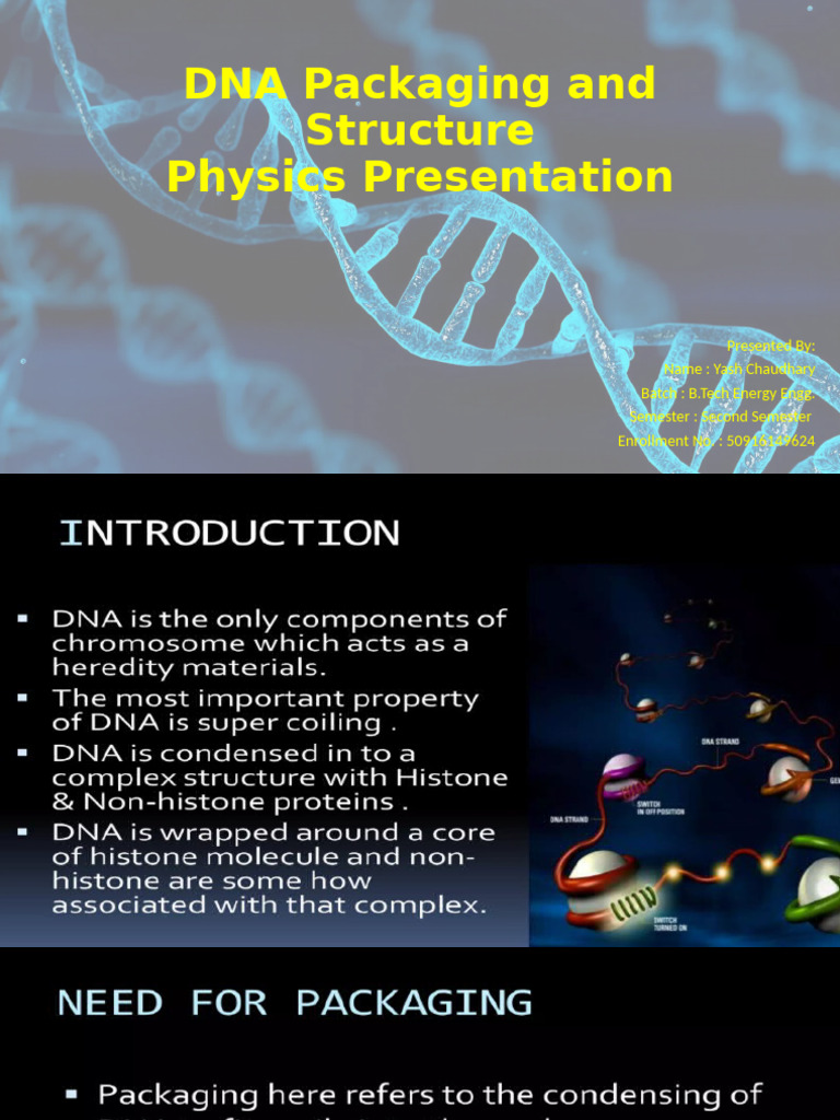 DNA Packaging and Structure Physics Presentation (50916149624) (Yash Chaudhary) | PDF
