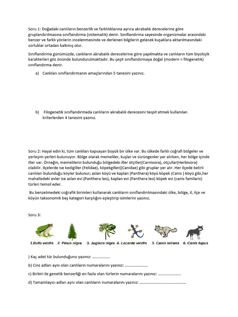 2 Yazili Calisma Kagidi Siniflandirma PDF | PDF