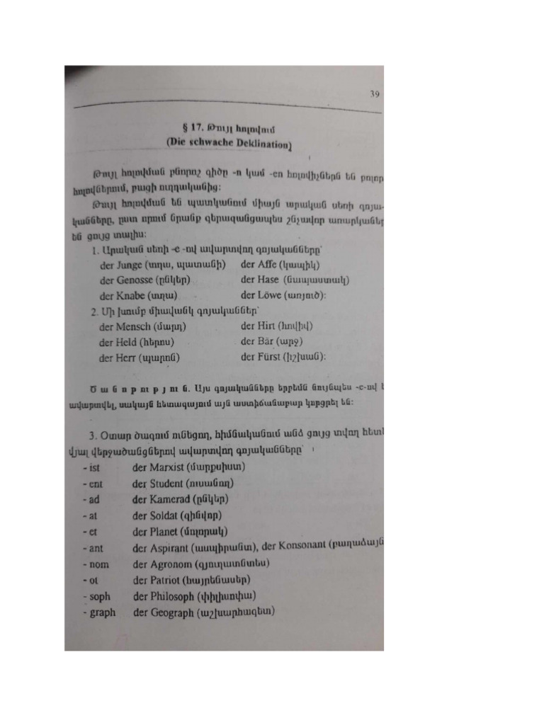 N Deklination | PDF
