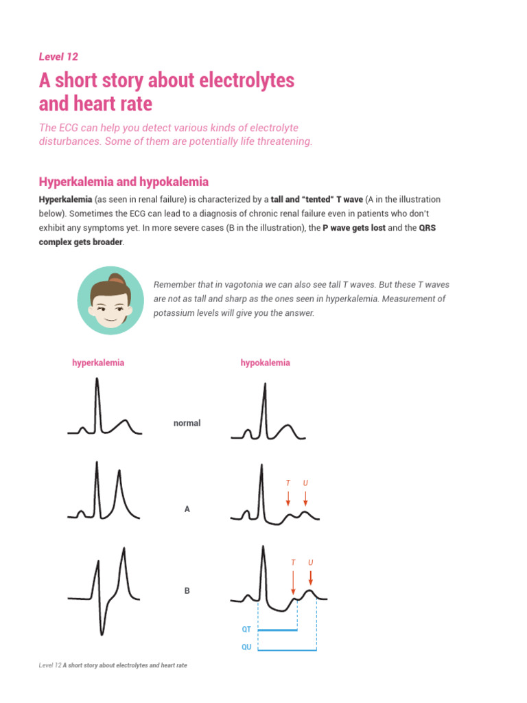 A Short Story About Electrolytes - Fact Sheet | PDF ...