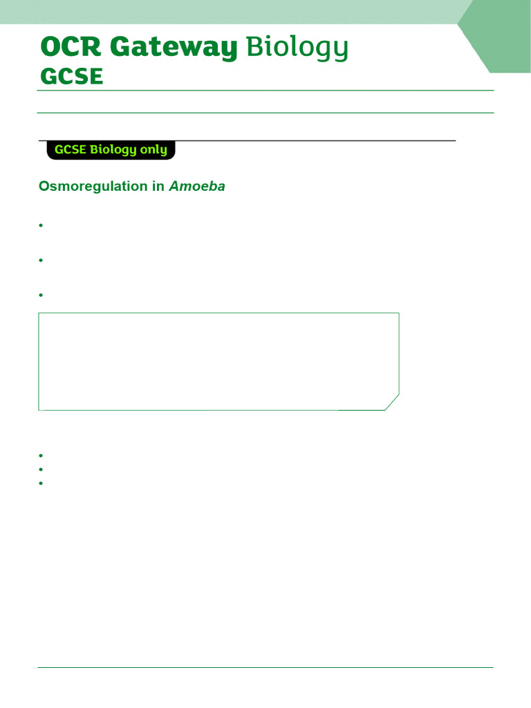 B3.3.3 Osmoregulation in Amoeba (Student) | PDF | Osmosis | Vacuole