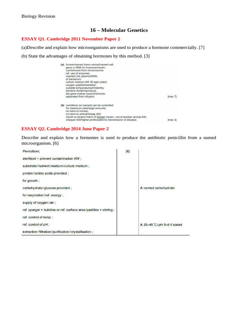 Compiled Biology Essay - 16-1 Molecular Genetics | PDF