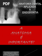 Anatomia do Dente 27: Molar Superior | PDF | Raiz | Dente