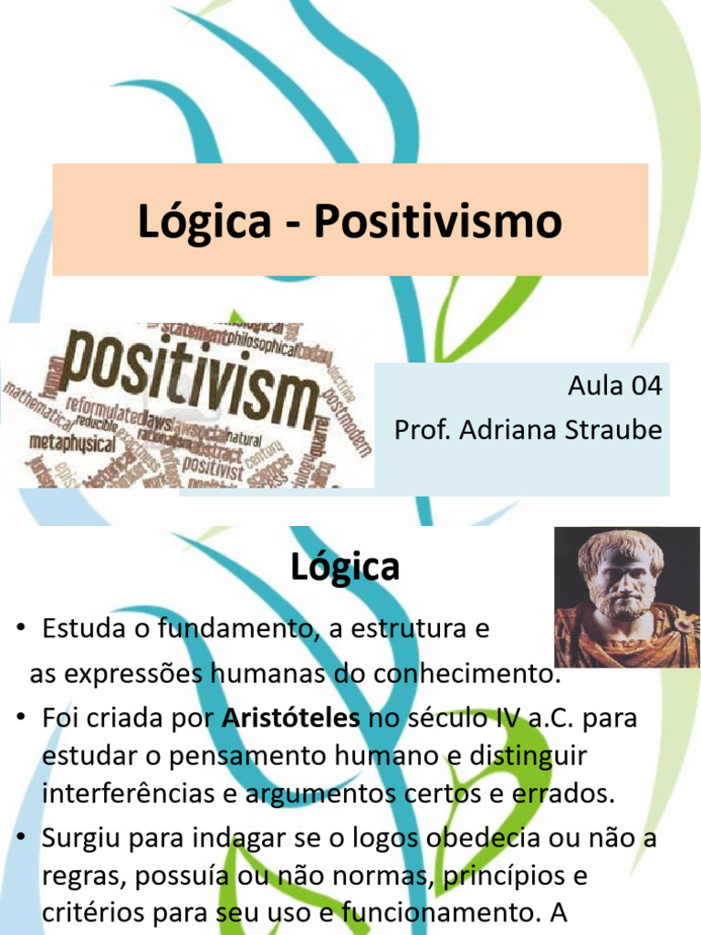 AULA 04 Positivismo RESUMO 2 | PDF | Positivismo | Argumento