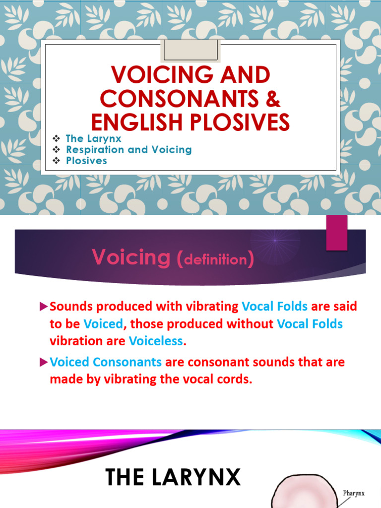 Voicing and Consonants & PLOSIVES | PDF | Larynx | Phonetics