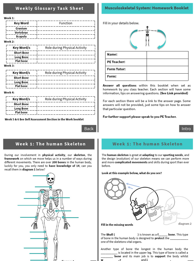 AQA GCSE PE - Workbook 1 - The Skeleton | PDF | Anatomy ...