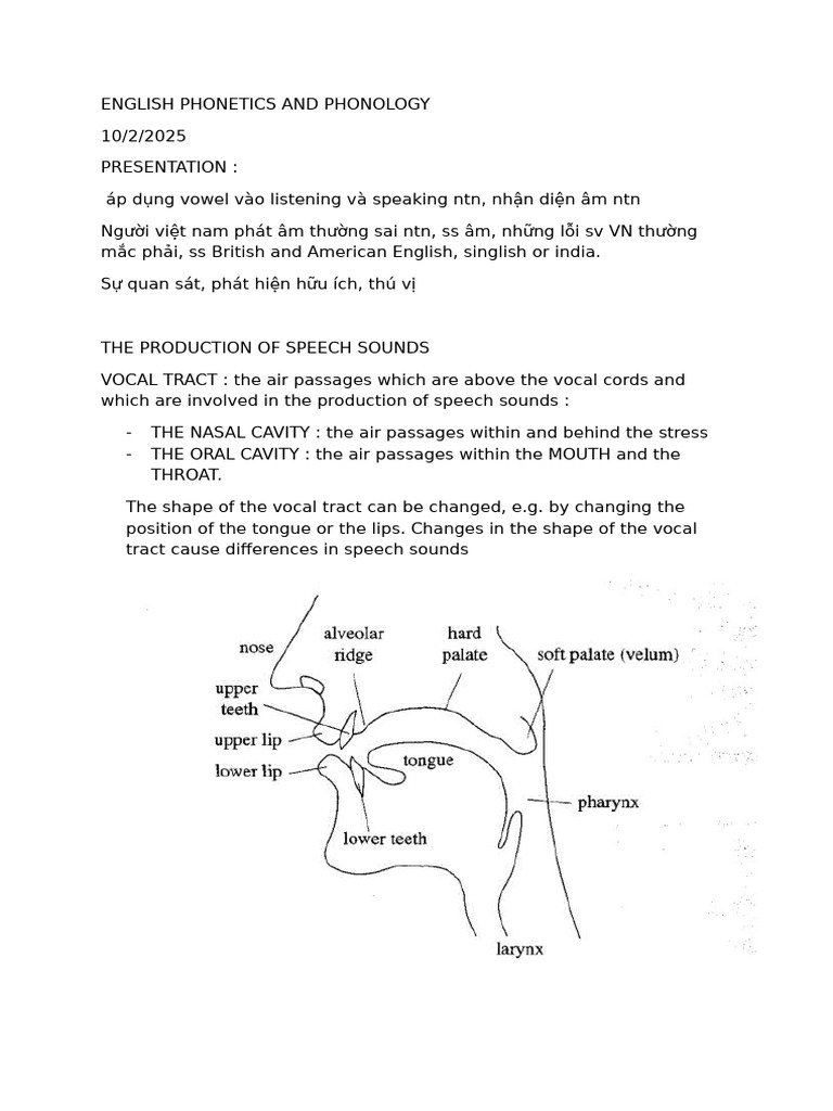 ENGLISH PHONETICS AND PHONOLOGY | PDF | Vowel | Phonetics