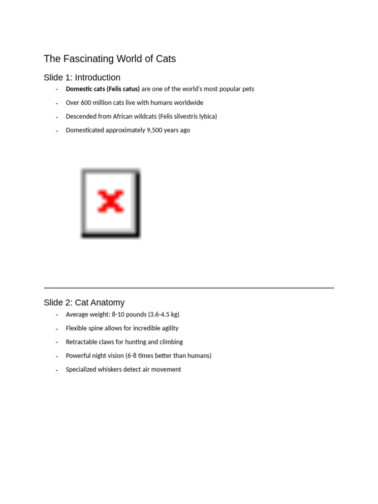 Cats Presentation | PDF