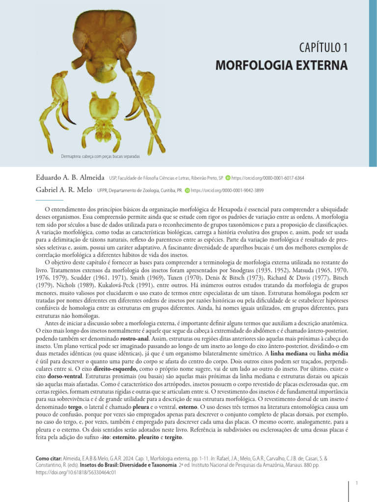 CAP1 MORFOLOGIA EXTERNA (1) | PDF | Insetos | Artrópodes
