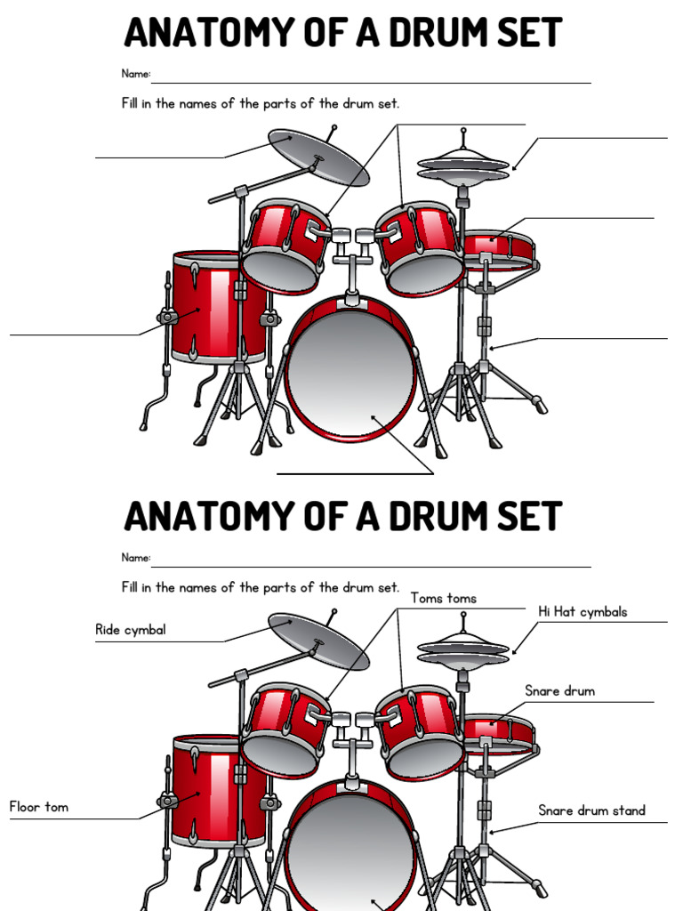 Anatomy of A Drum Set | PDF