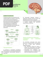 Funções e Ciclos das Gônadas Humanas | PDF | Hormônio luteinizante | Ovário