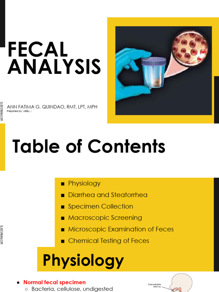 Fecal Analysis | PDF | Diarrhea | Digestion