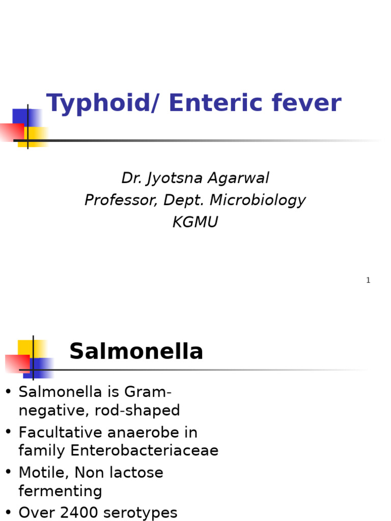 Understanding Typhoid and Enteric Fever | PDF | Salmonella | Foodborne ...